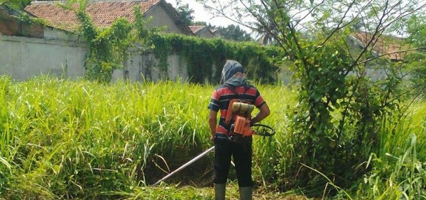 PAKET JASA POTONG RUMPUT LABALI DEPASAR BALI